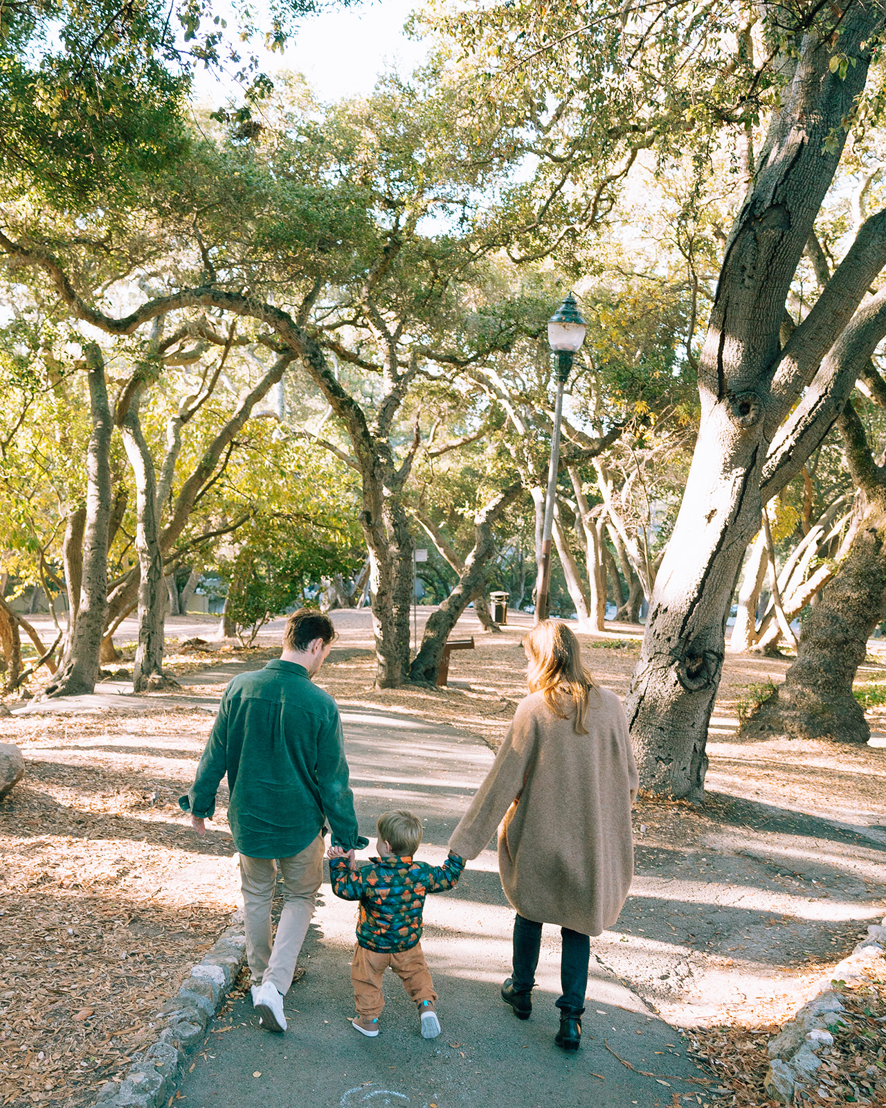 Fall Family Photos at John Hinkel Park in Berkeley, CA - Laura Jaeger ...