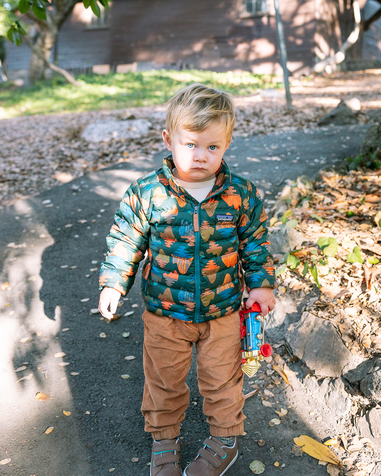 Fall Family Photos at John Hinkel Park in Berkeley, CA - Laura Jaeger ...
