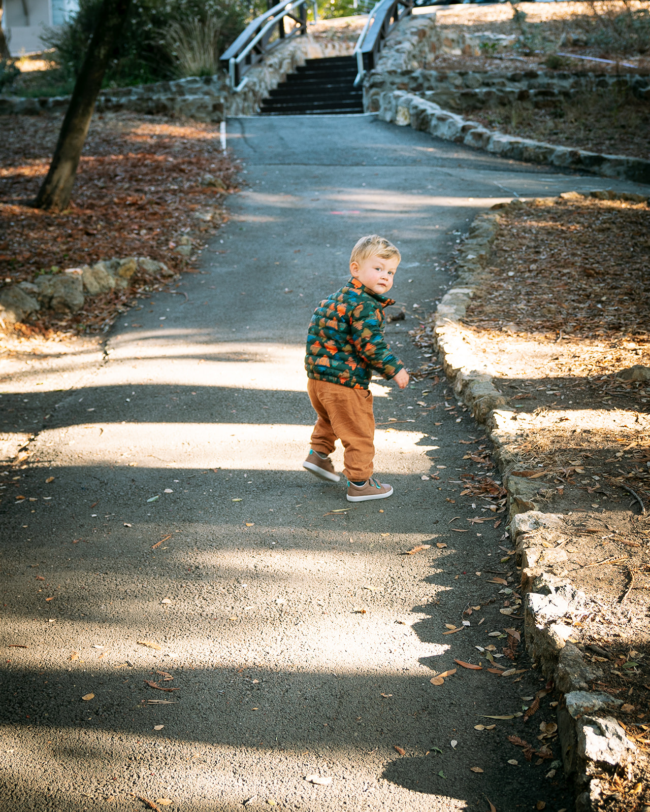 Fall Family Photos at John Hinkel Park in Berkeley, CA - Laura Jaeger ...