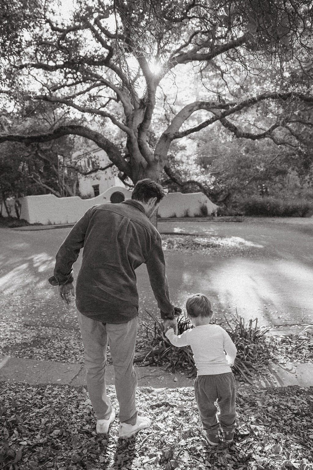 Fall Family Photos at John Hinkel Park in Berkeley, CA - Laura Jaeger ...