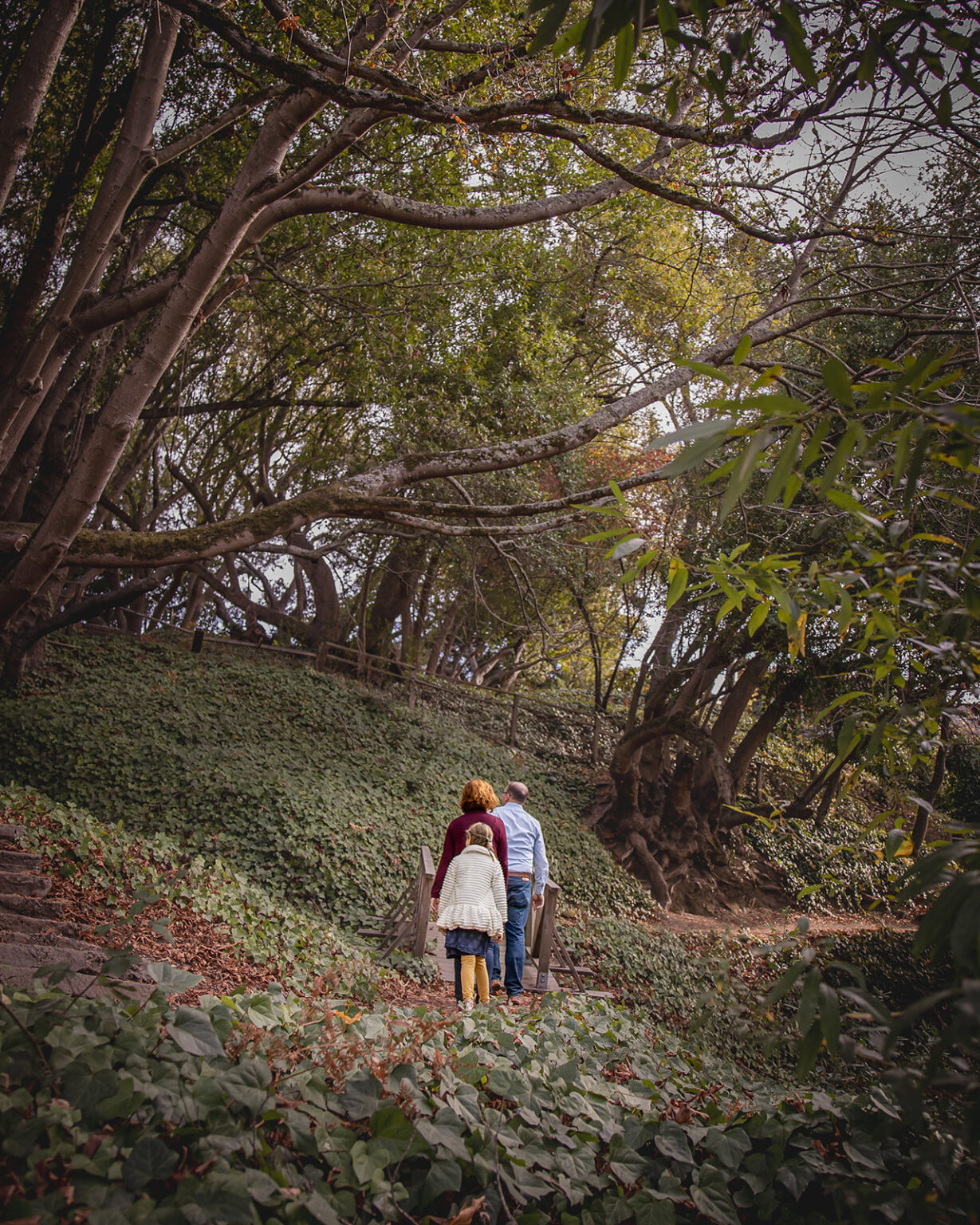 A Family Session at Codornices Park & Berkeley Rose Garden - Laura ...